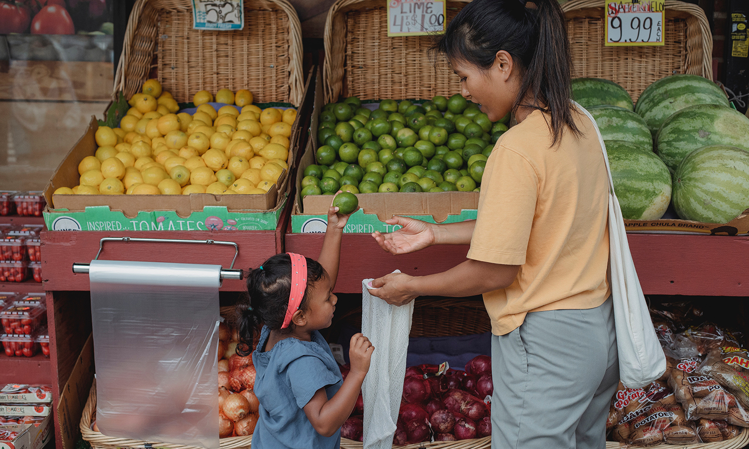 Rising food costs limit access to healthy food for low income – On the ...