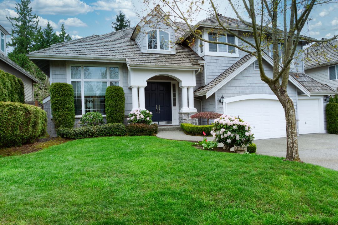 What You Need To Know When Making a Front Lawn – On the PULSE
