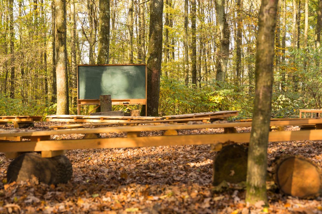 The Benefits of Adding an Outdoor Classroom – On the PULSE