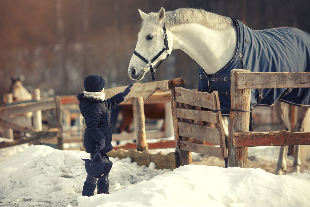 Best Tips for Keeping Your Livestock Healthy Through Winter – On the PULSE