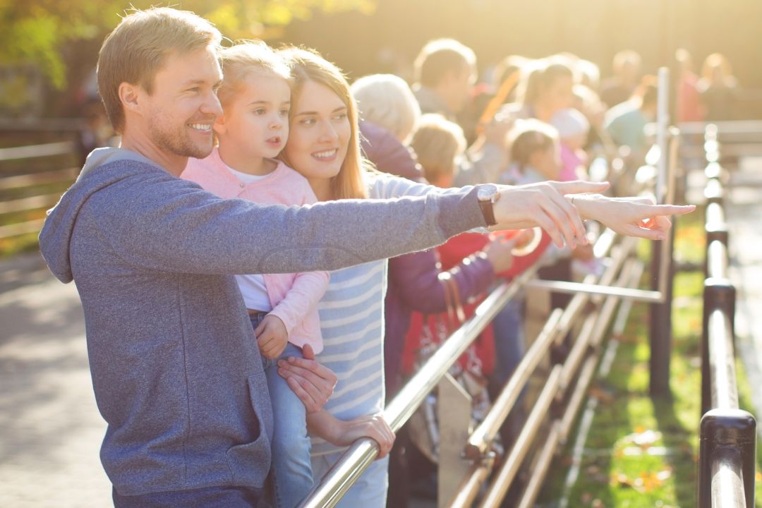 Memorable and Kid-Friendly Activities in Georgia – On the PULSE