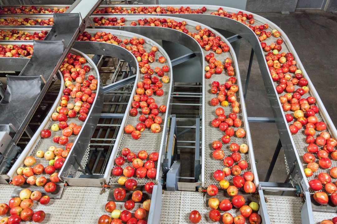 Conveyor belt cleaning methods for food manufacturing – On the PULSE